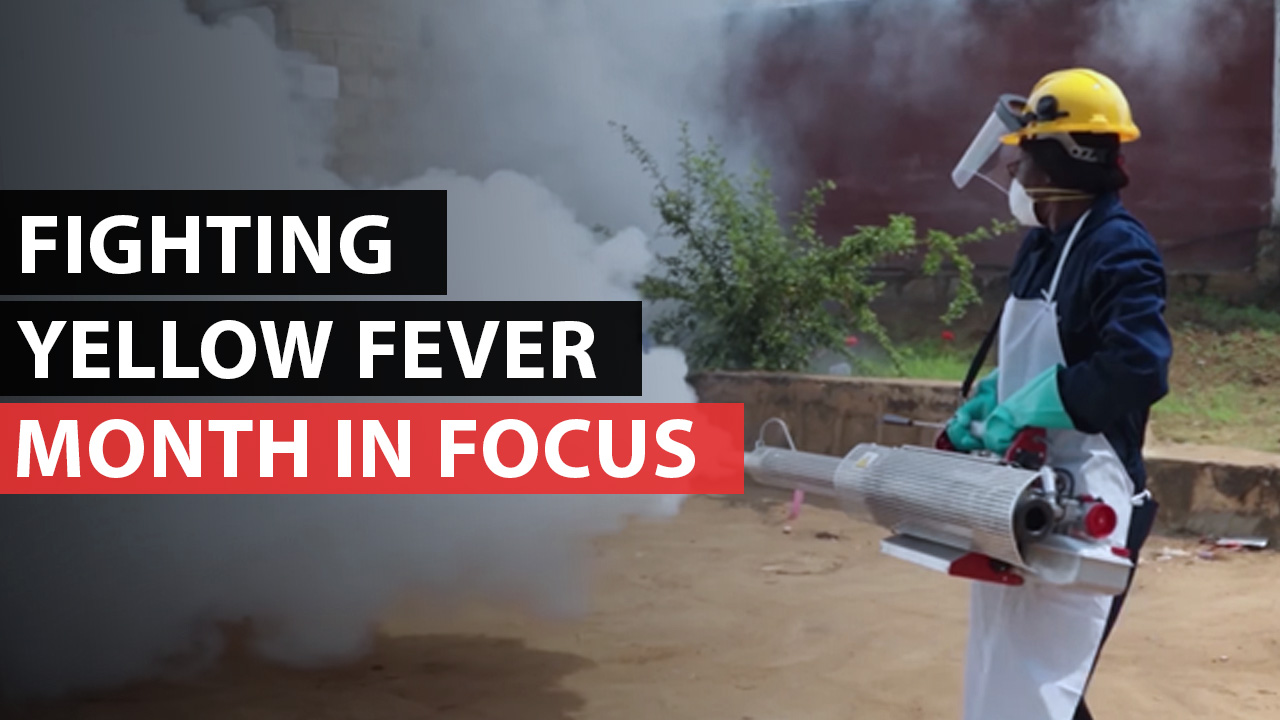 Yellow Fever A Closer Look At The Disease Msf