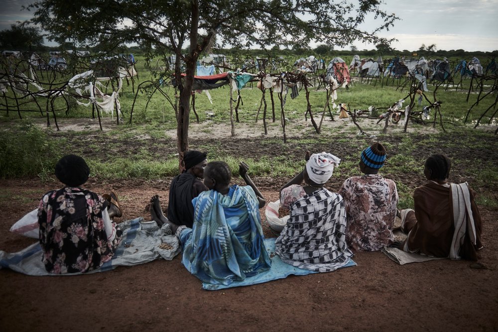 Snakebite: How MSF are using AI to identify bites, and the story of a ...